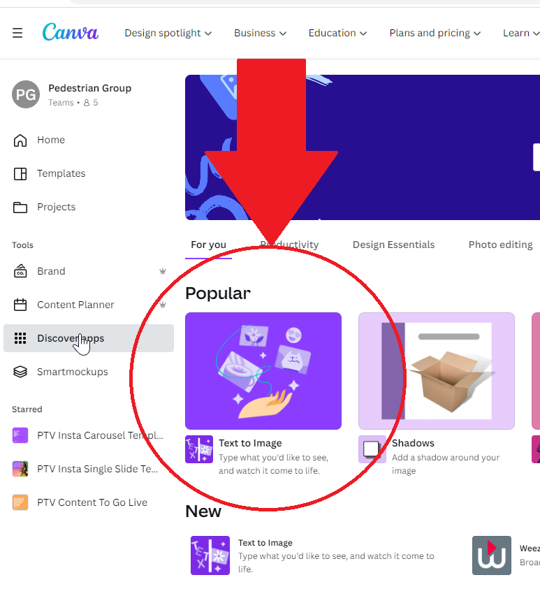Canva AI: You Can Now Generate Pictures From Text Prompts