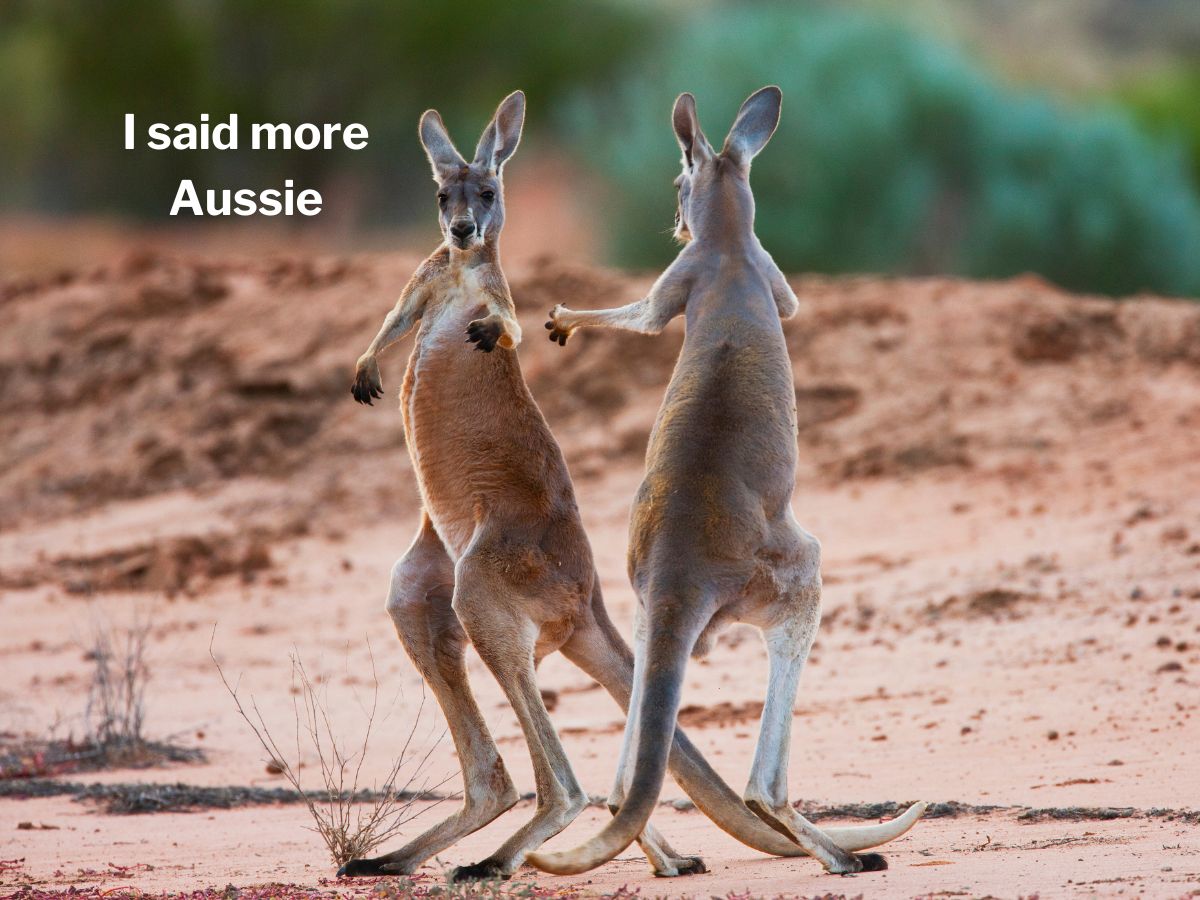 TikTok Trend: I Asked AI To Generate The Most 'Aussie' Aussie