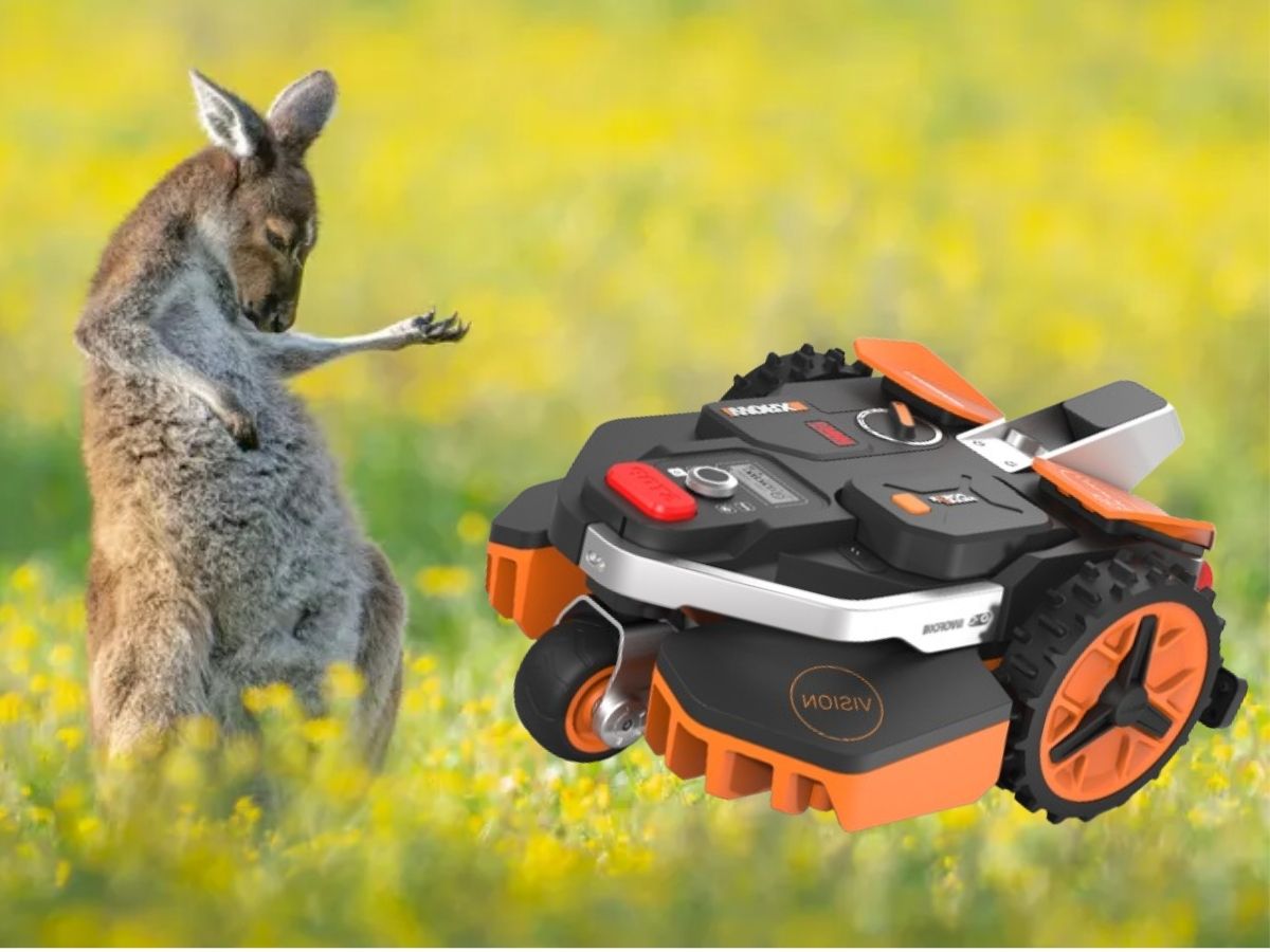 Worx Landroid Vision Review: Does This AI Mower Bot Work?