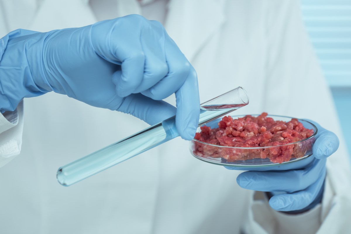Growing Meat In A Lab: How’s It Done & Is It Safety Approved?