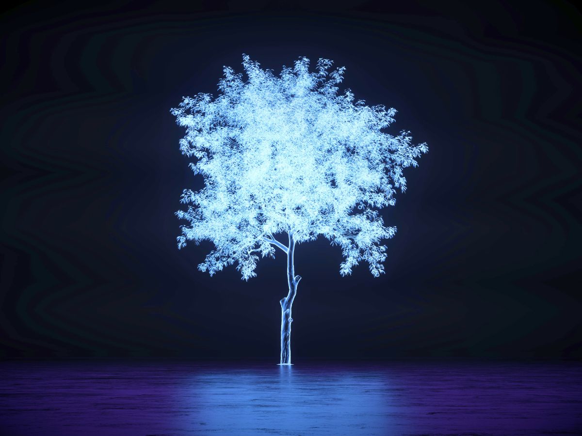 How To Make A Hologram